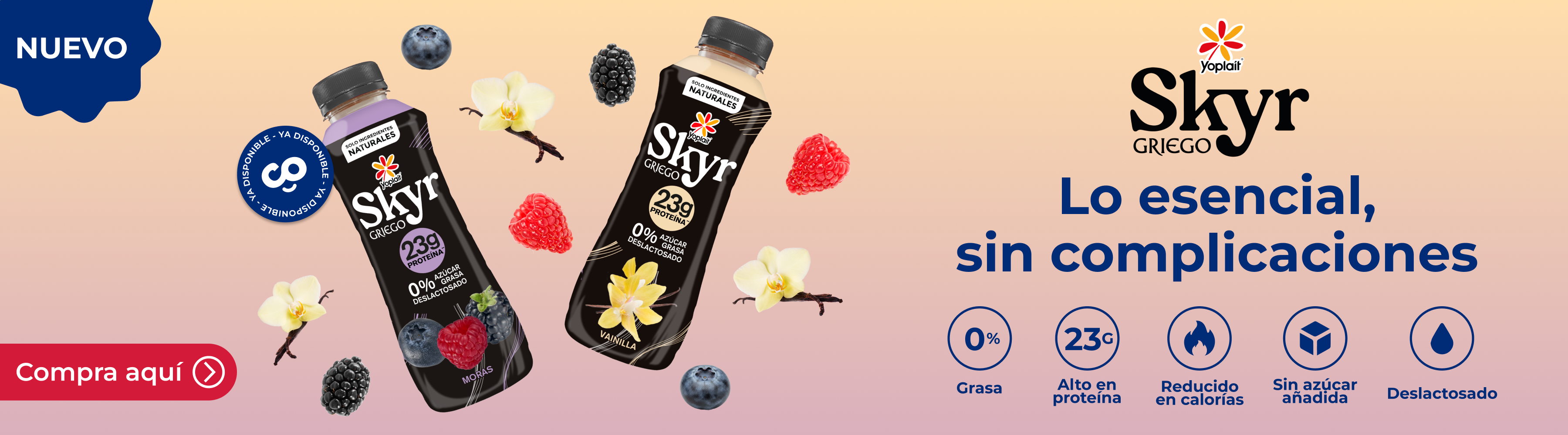 Lo nuevo en Convy 📣